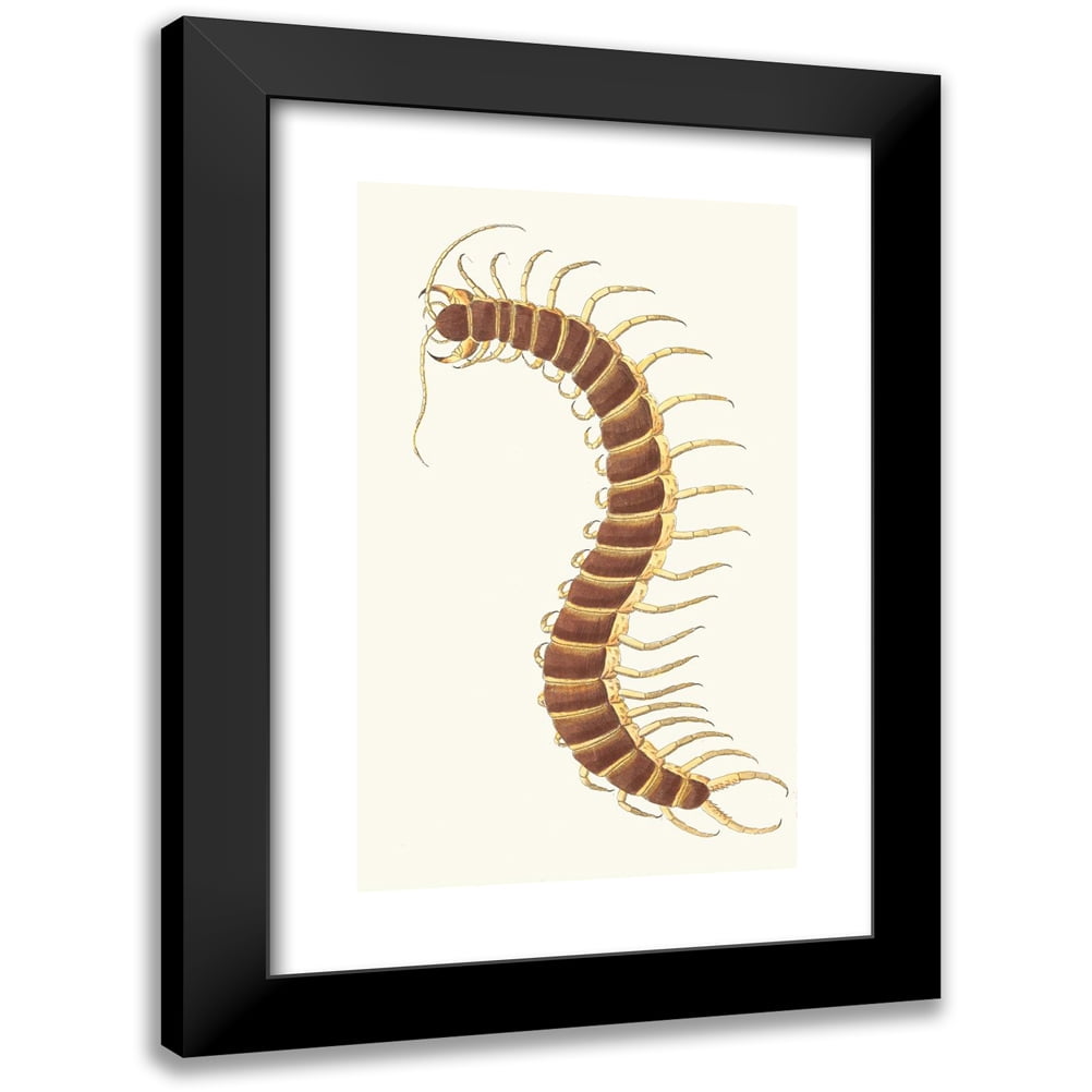 George Shaw 10x14 Black Modern Framed Museum Art Print Titled ...