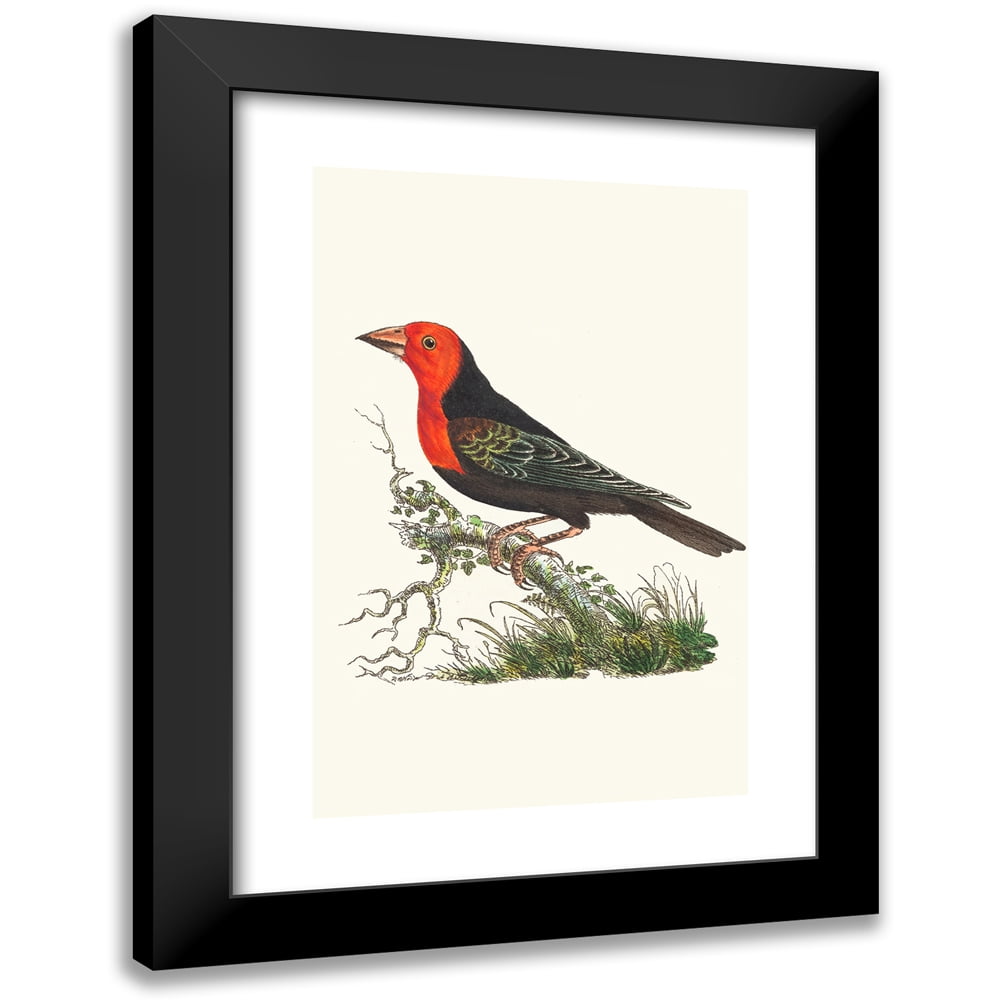 George Shaw 11x14 Black Modern Framed Museum Art Print Titled ...