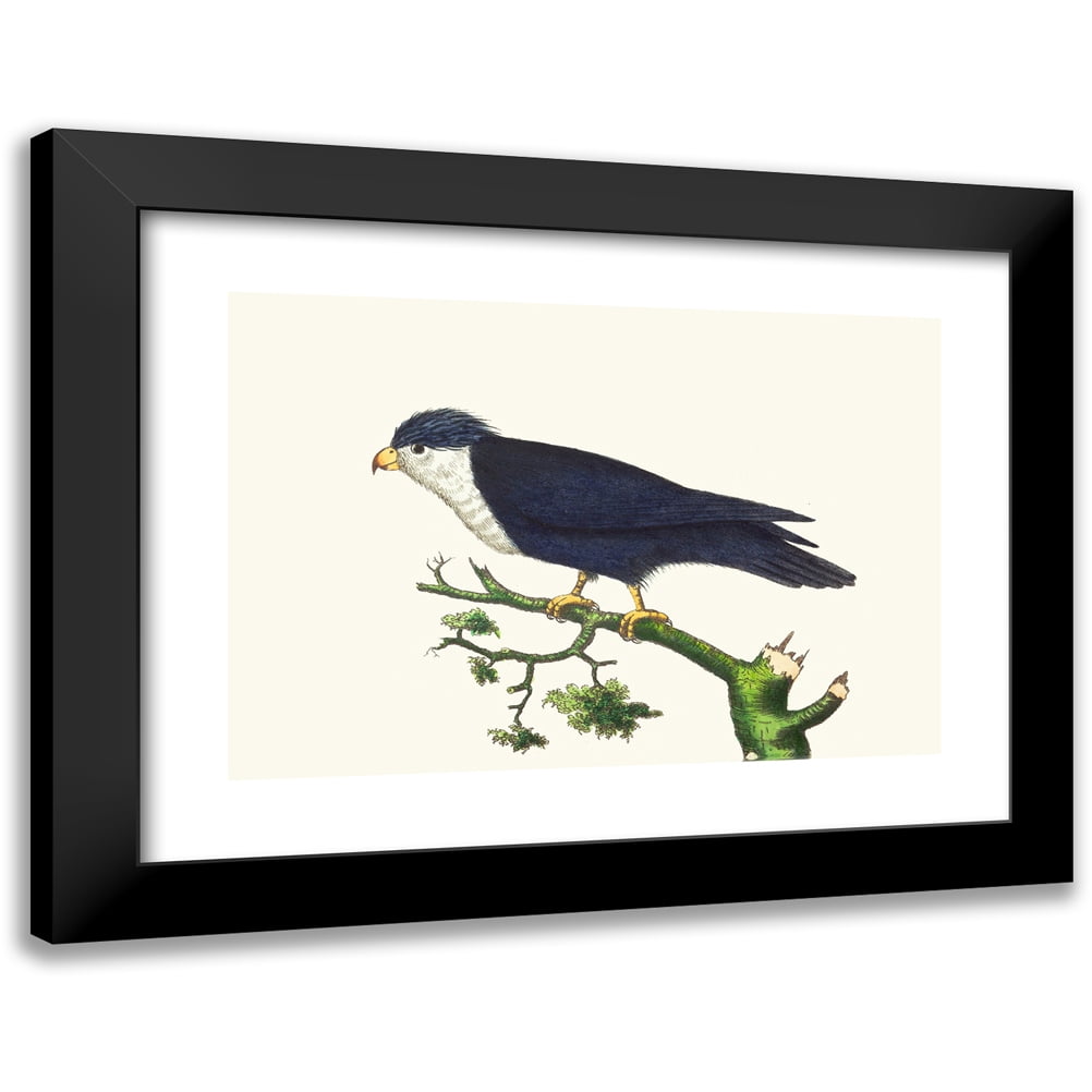 George Shaw 24x18 Black Modern Framed Museum Art Print Titled - Violet ...