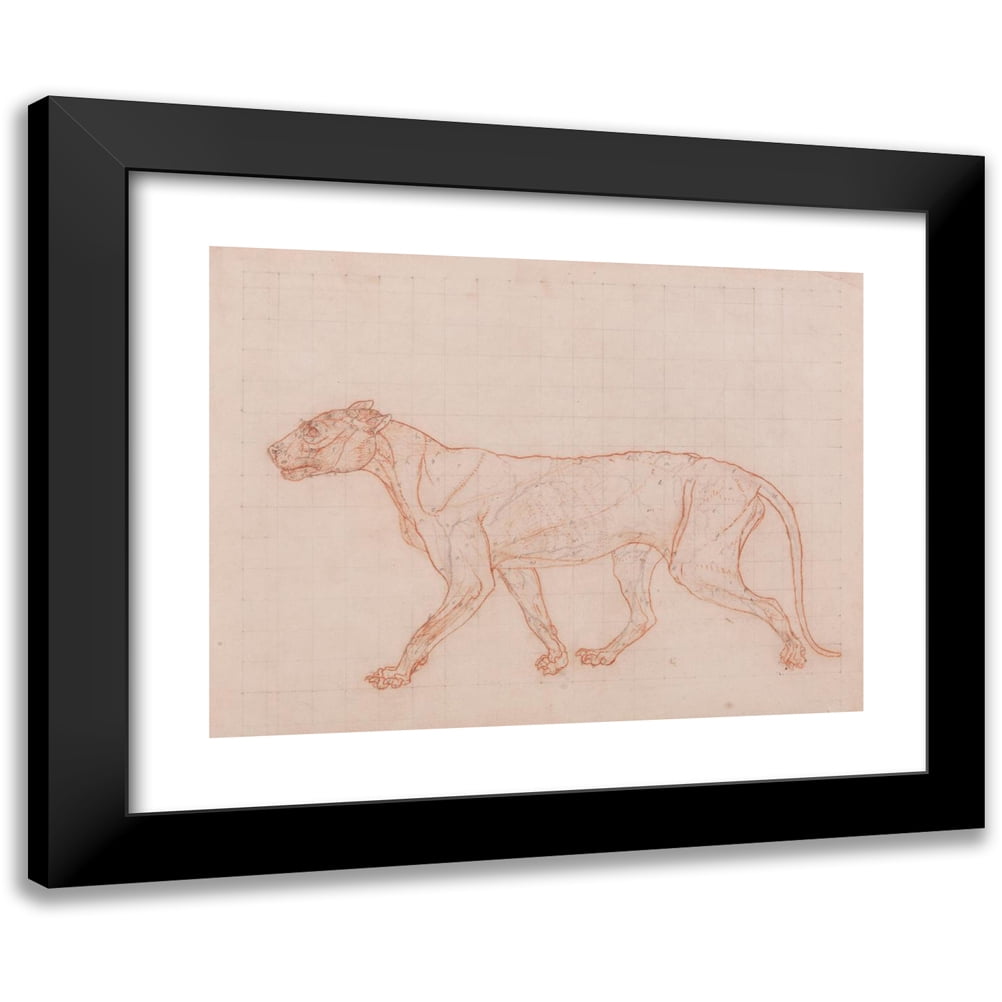 George Stubbs 18x14 Black Modern Framed Museum Art Print Titled - Tiger ...