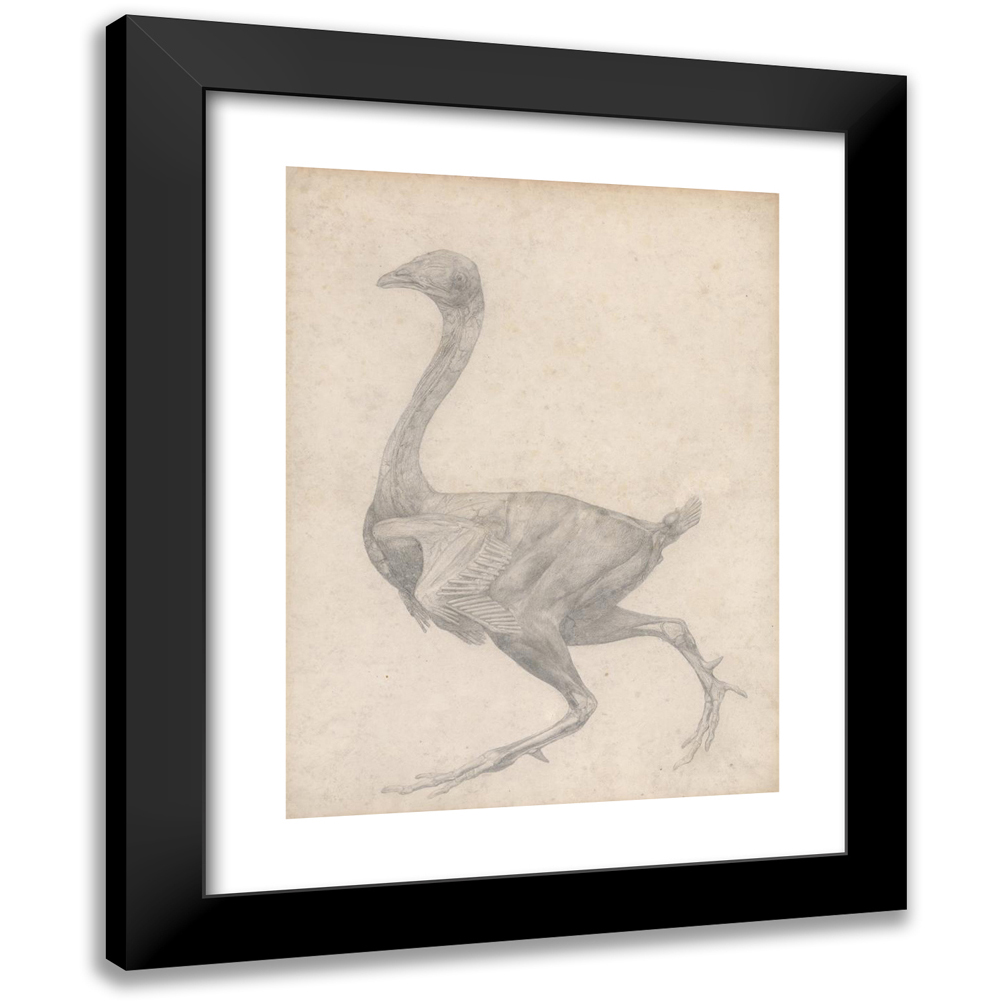 George Stubbs 19x24 Black Modern Framed Museum Art Print Titled - Fowl ...