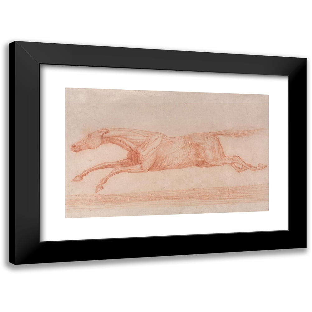 George Stubbs 24x17 Black Modern Framed Museum Art Print Titled - Study ...