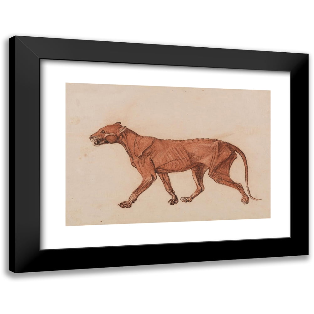 George Stubbs 24x18 Black Modern Framed Museum Art Print Titled - Tiger ...