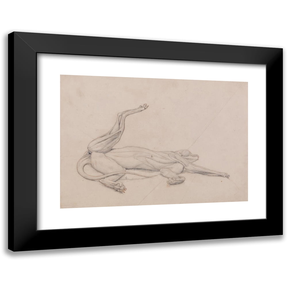 George Stubbs 24x18 Black Modern Framed Museum Art Print Titled - Tiger ...
