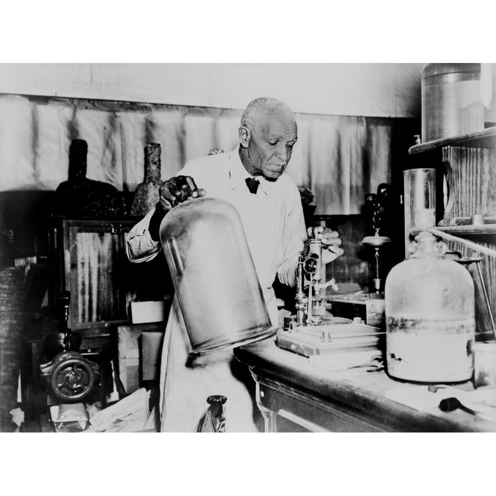 George Washington Carver An Agricultural Chemist Developed New Products Of Peanuts History (36 x ...