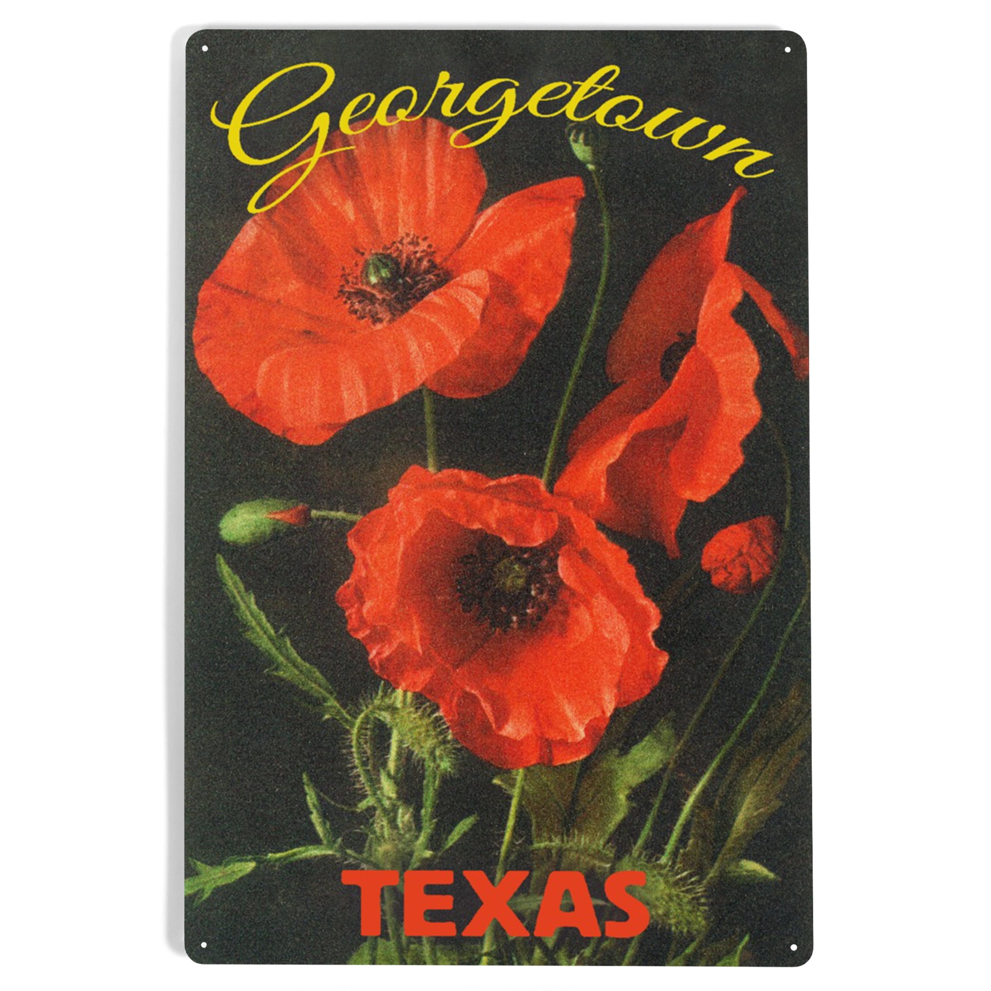 Georgetown, Texas, Corn Poppy Flowers (12x18 Aluminum Art, Indoor ...