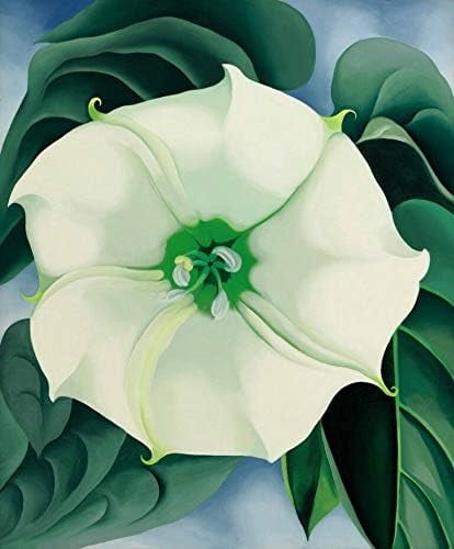 Georgia O'Keeffe Jimson Weed Circa 1930 : Art Print Suitable for ...