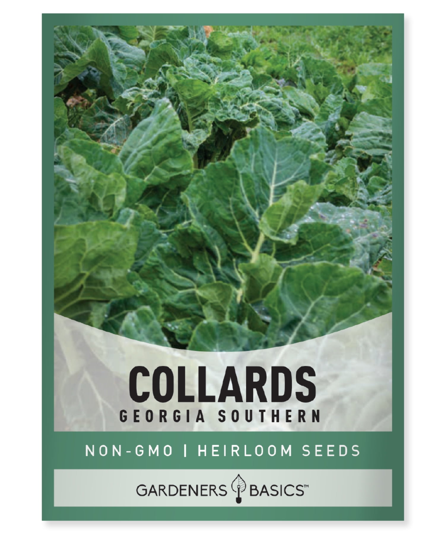 Gardeners Basics Georgia Southern Collard Seeds, Heirloom, Non-GMO ...