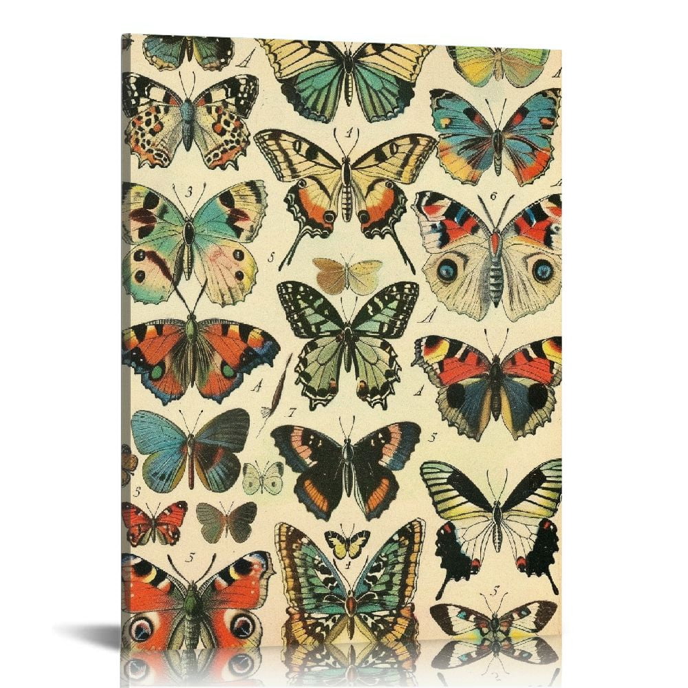 Geosar Vintage Butterfly Flower Poster Fungus Art Prints Rustic Wall ...