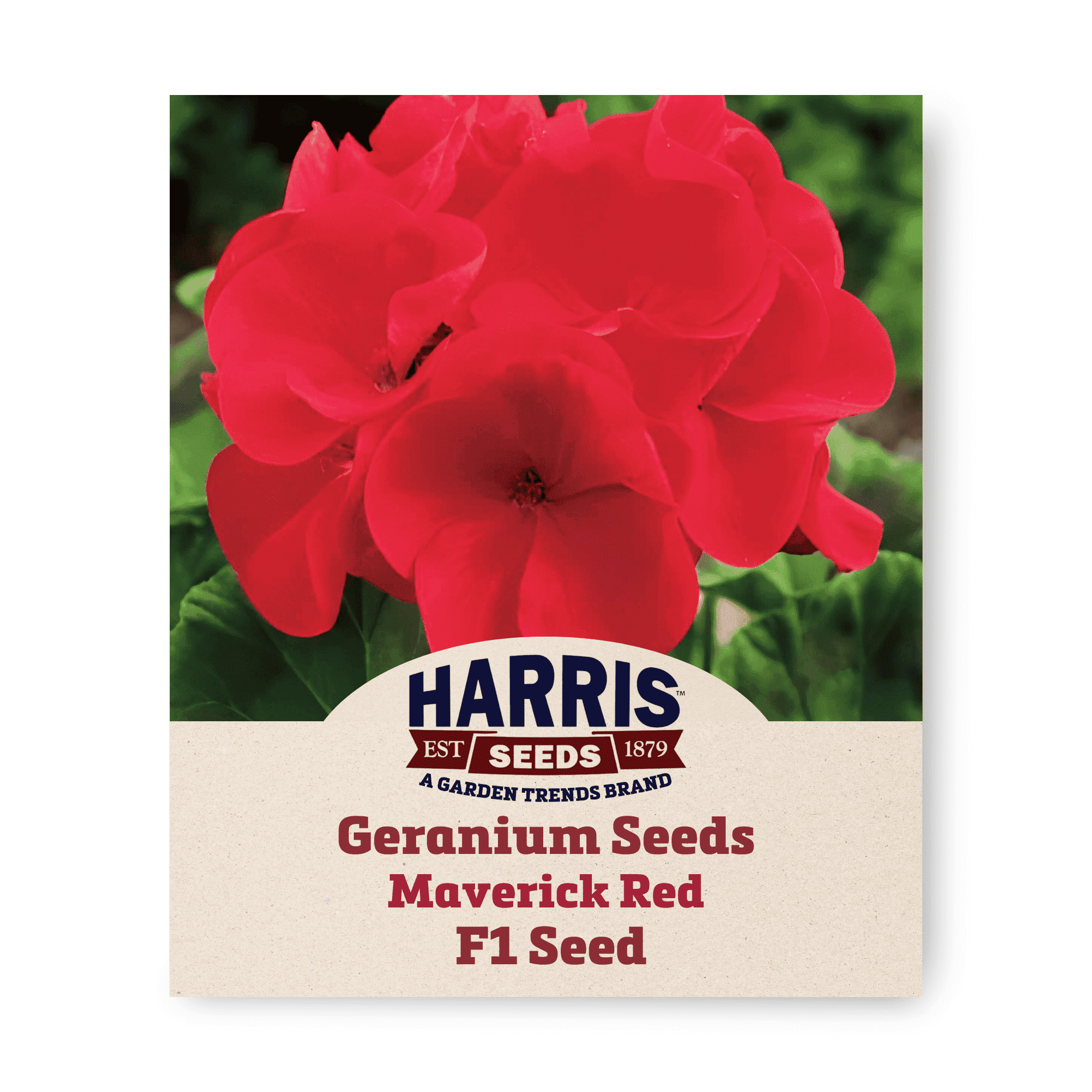 Harris Seeds Geranium Maverick Red F1 Flower, Uniform Blooms, Annual ...