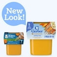 Gerber Stage 2 Baby Food, Turkey Rice Puree Tub, Baby Puree, 2PK 8 oz ...