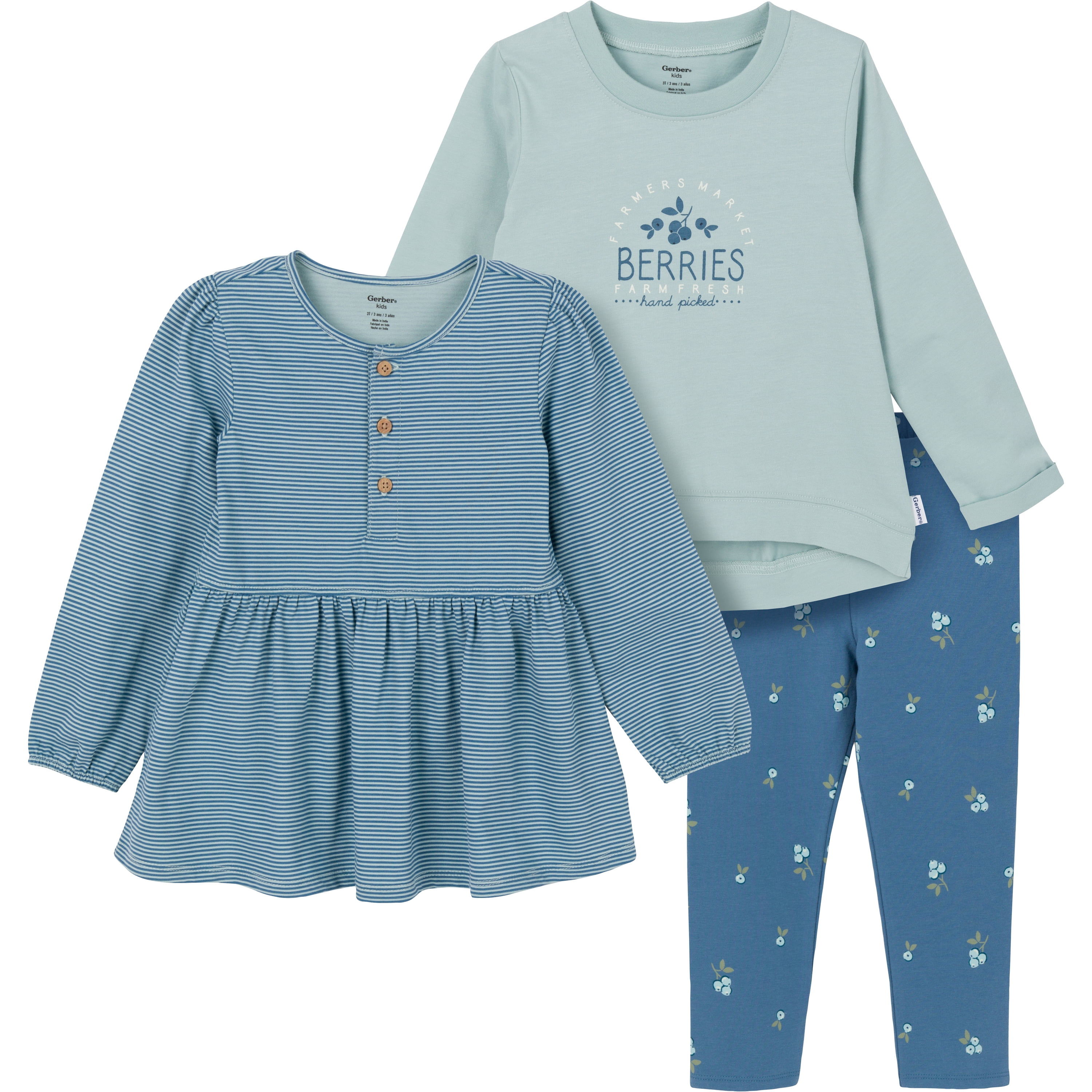 Gerber Toddler Girl Tunics and Legging Set, 3-Piece, Sizes 2T-5T ...