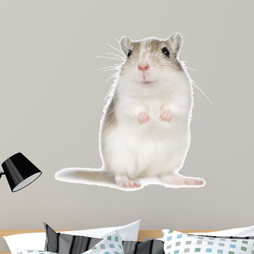 Gerbil Wall Decal by Wallmonkeys Peel and Stick Graphic (36 in H x 32 ...