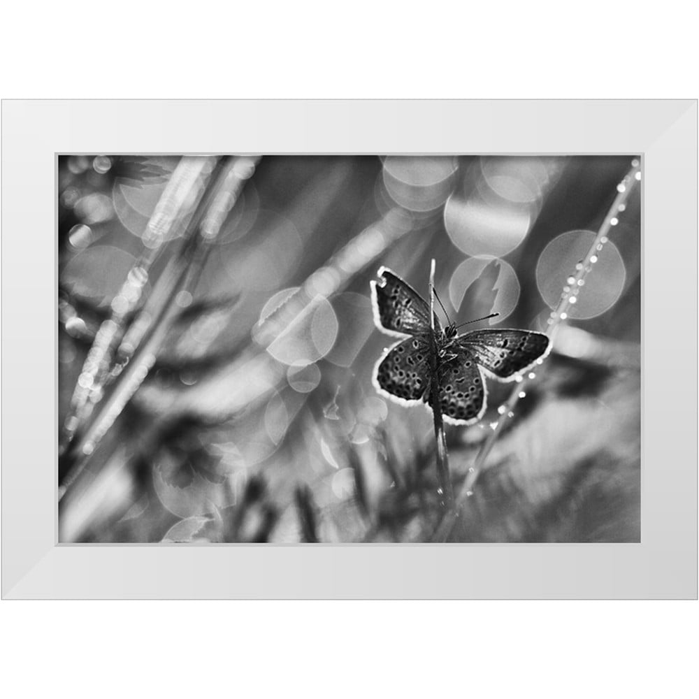 Gerec, Pali 32x23 White Modern Wood Framed Museum Art Print Titled ...