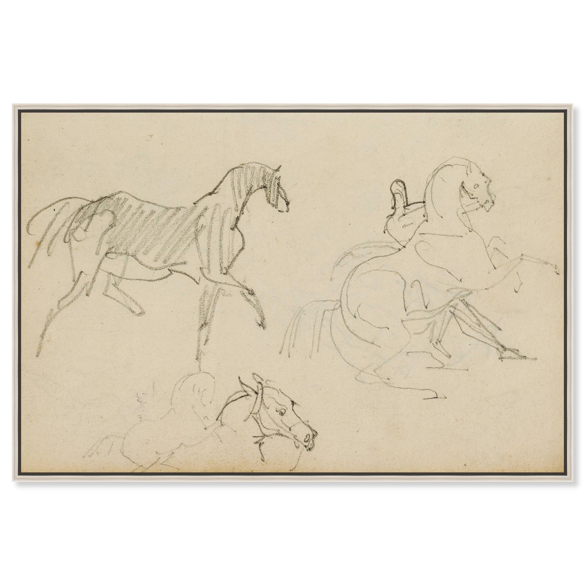 Gericault - Three horse studies Canvas Farm Animals Art by Art Remedy ...
