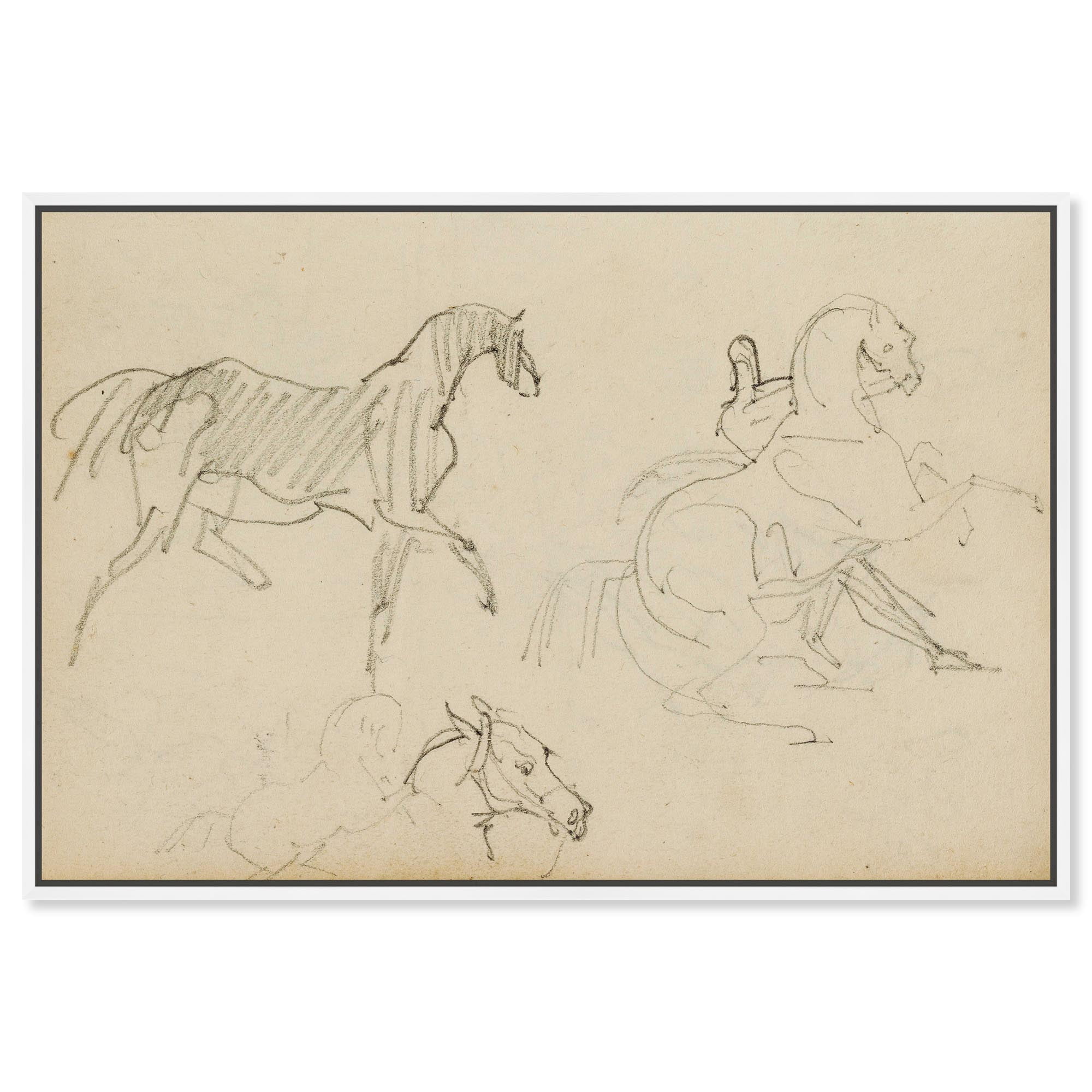 Gericault - Three horse studies Canvas Farm Animals Art by Art Remedy ...