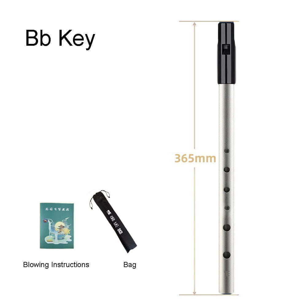 Gerich 1 Pcs Irish Whistle Flute for Beginners with Professionals Alike ...