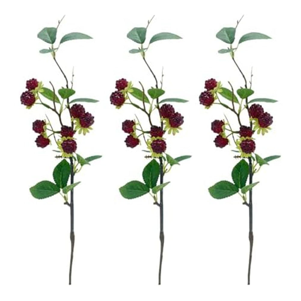 Gerich 3 Pieces Simulated for Raspberry Berry Stems Lightweight ...