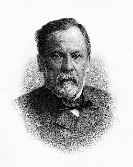 Germ Theory Father Louis Pasteur Portrait - 20x30 Inch Laminated ...