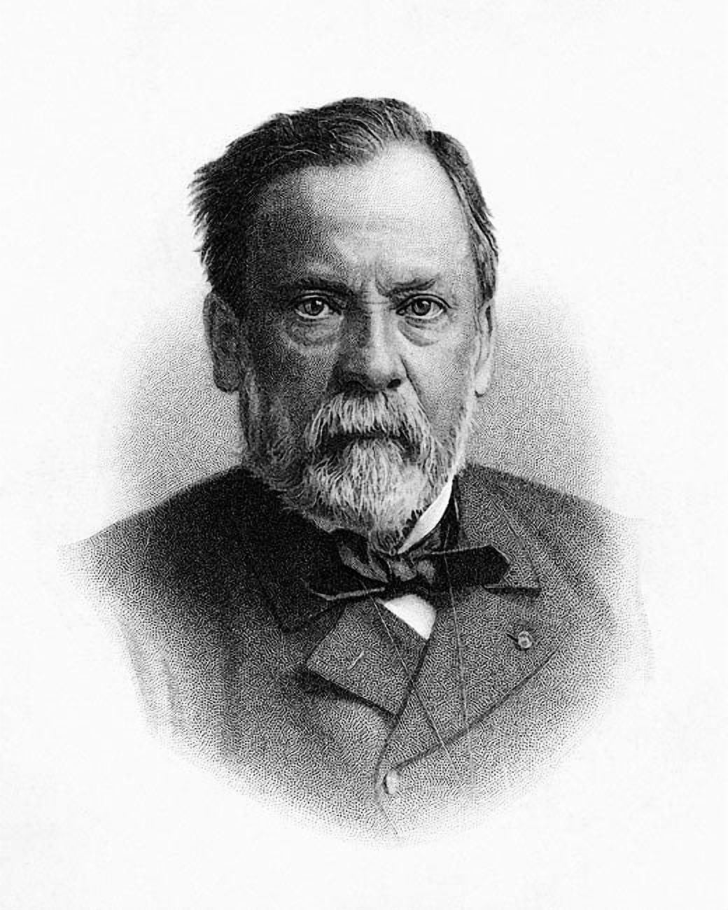 Germ Theory Father Louis Pasteur Portrait Style - A - 24x36 Inch ...