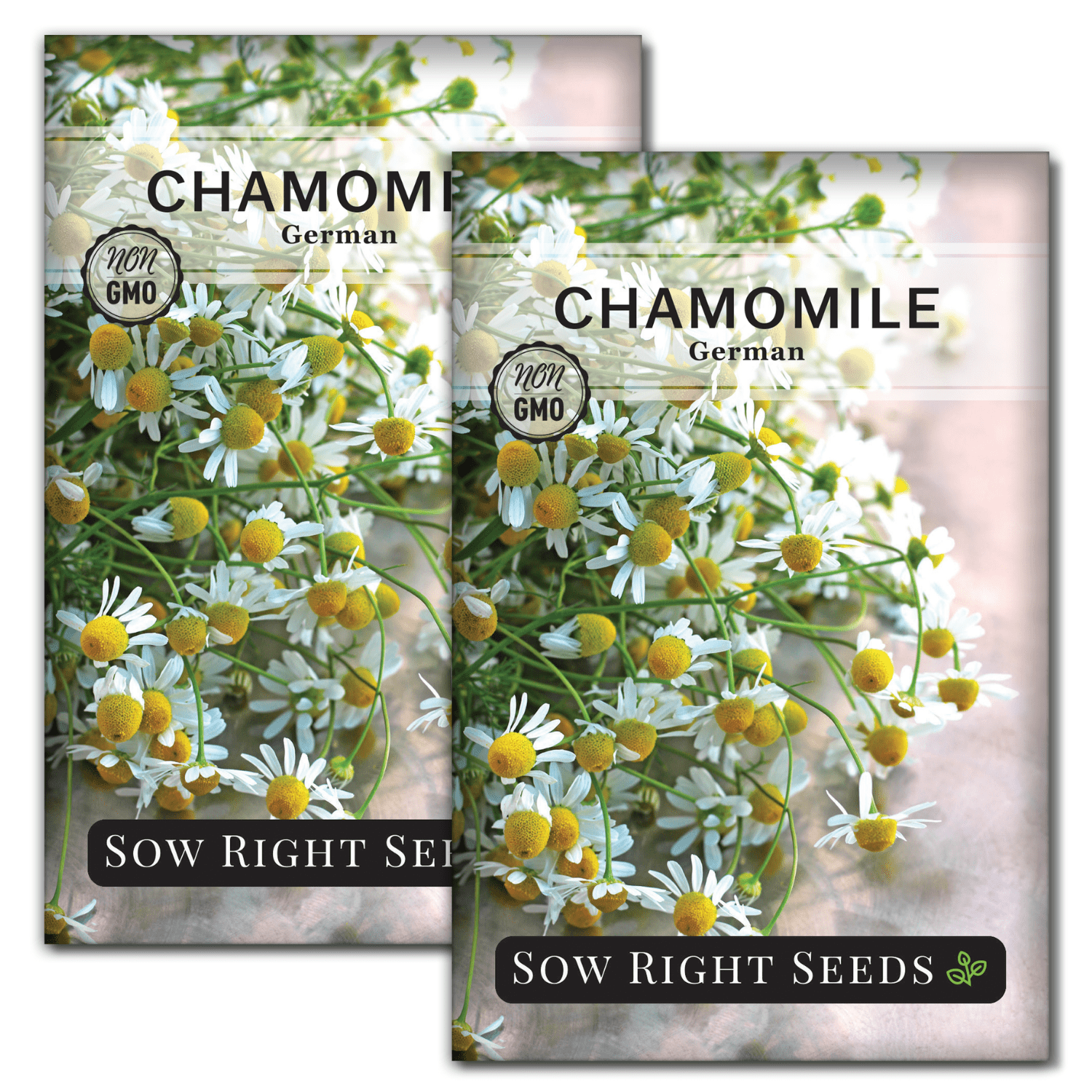 Sow Right Seeds, German Chamomile Seeds, Heirloom Varieties, Perfect ...