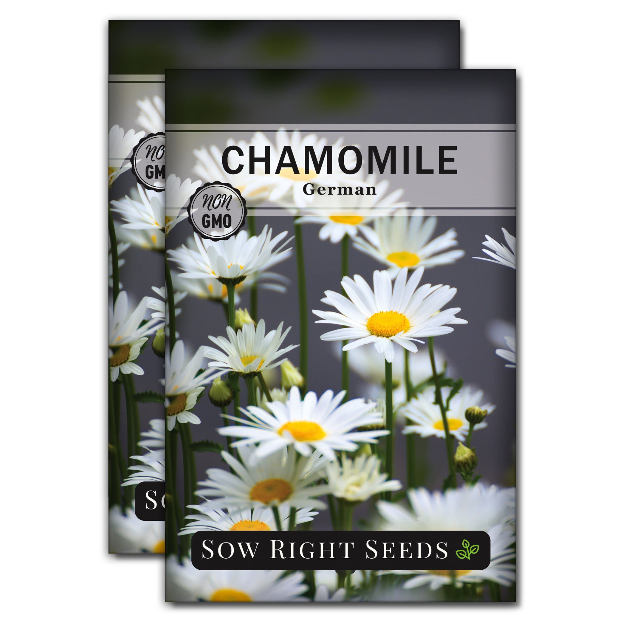 German Chamomile Seeds - Non GMO Heirloom Varieties - 2 Pack - Walmart.com