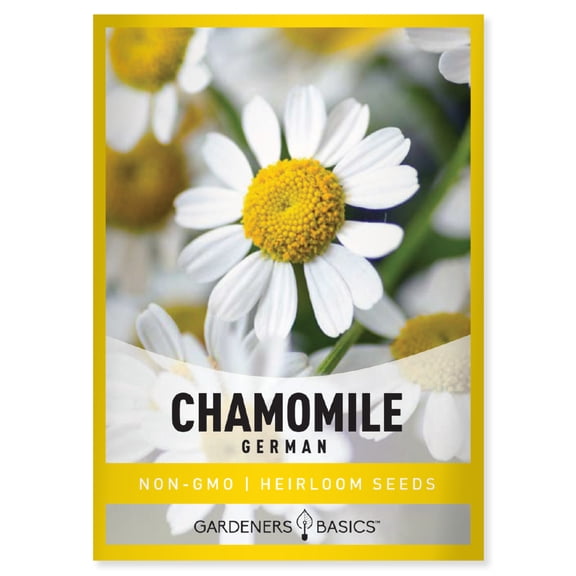 Chamomile Seeds