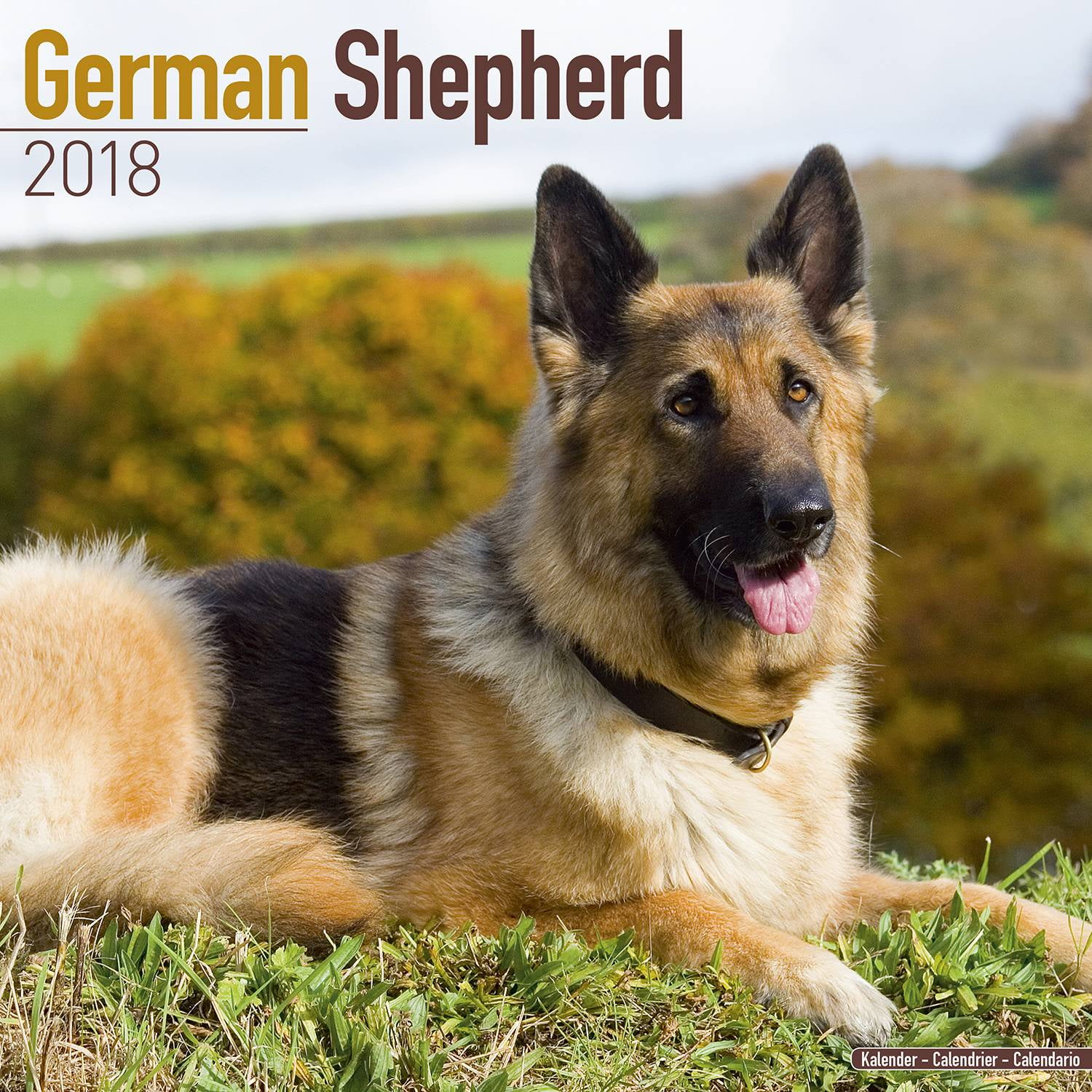 German Shepherd Calendar 2018 - Dog Breed Calendar - Wall Calendar 2017 ...