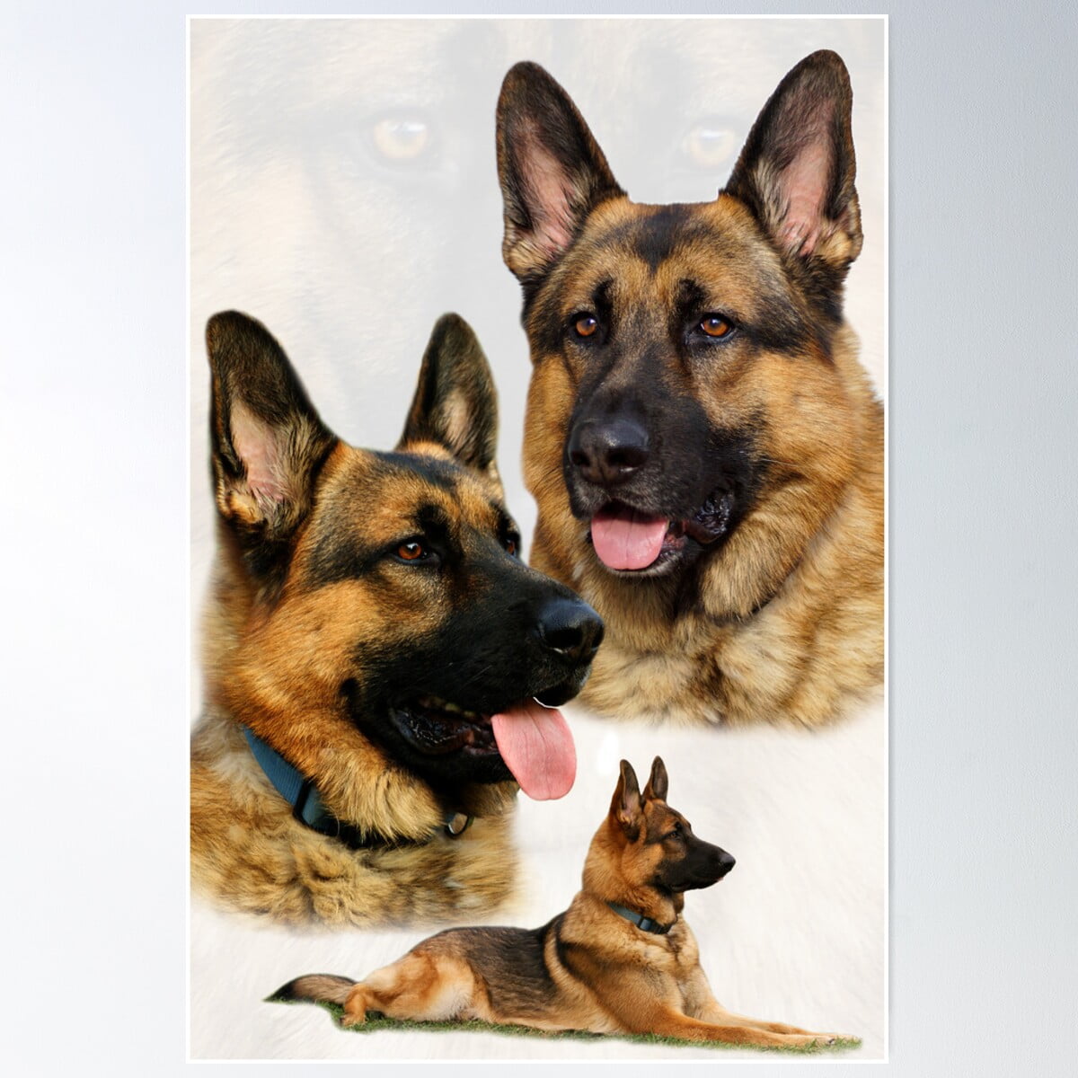 German Shepherd Collage Poster Wall Art, Modern Wall Decor For Living ...
