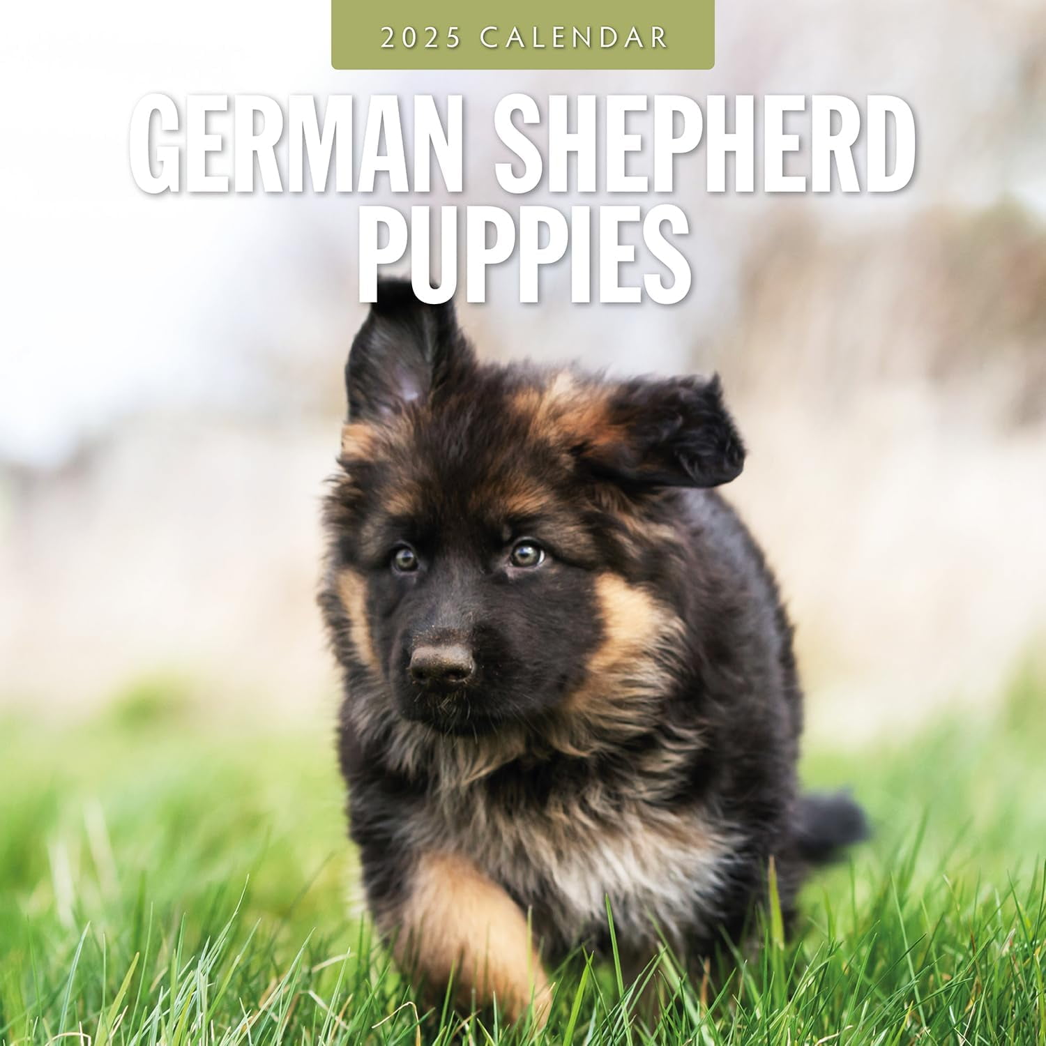 German Shepherd Puppies 2025 Square Wall Calendar - Walmart.com