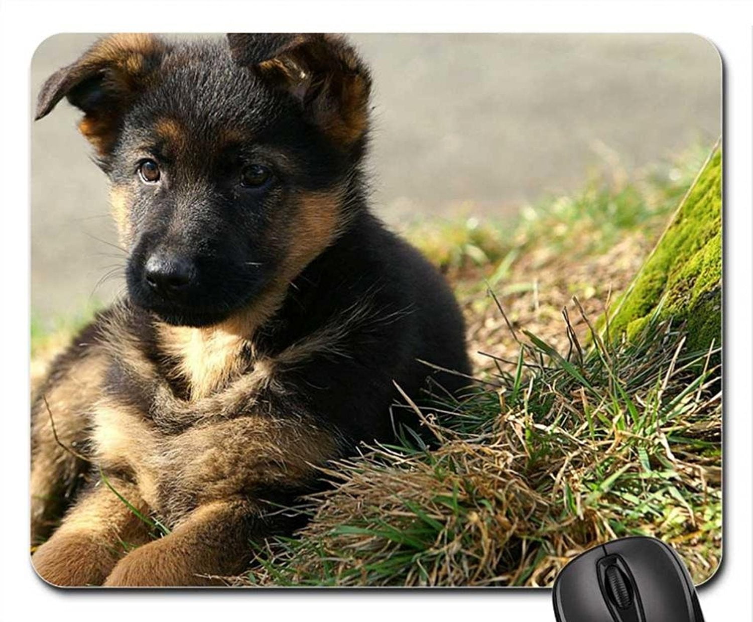 German Shepherd Puppy Mouse pads Gaming Mouse Pad 9.84x7.87 inches ...