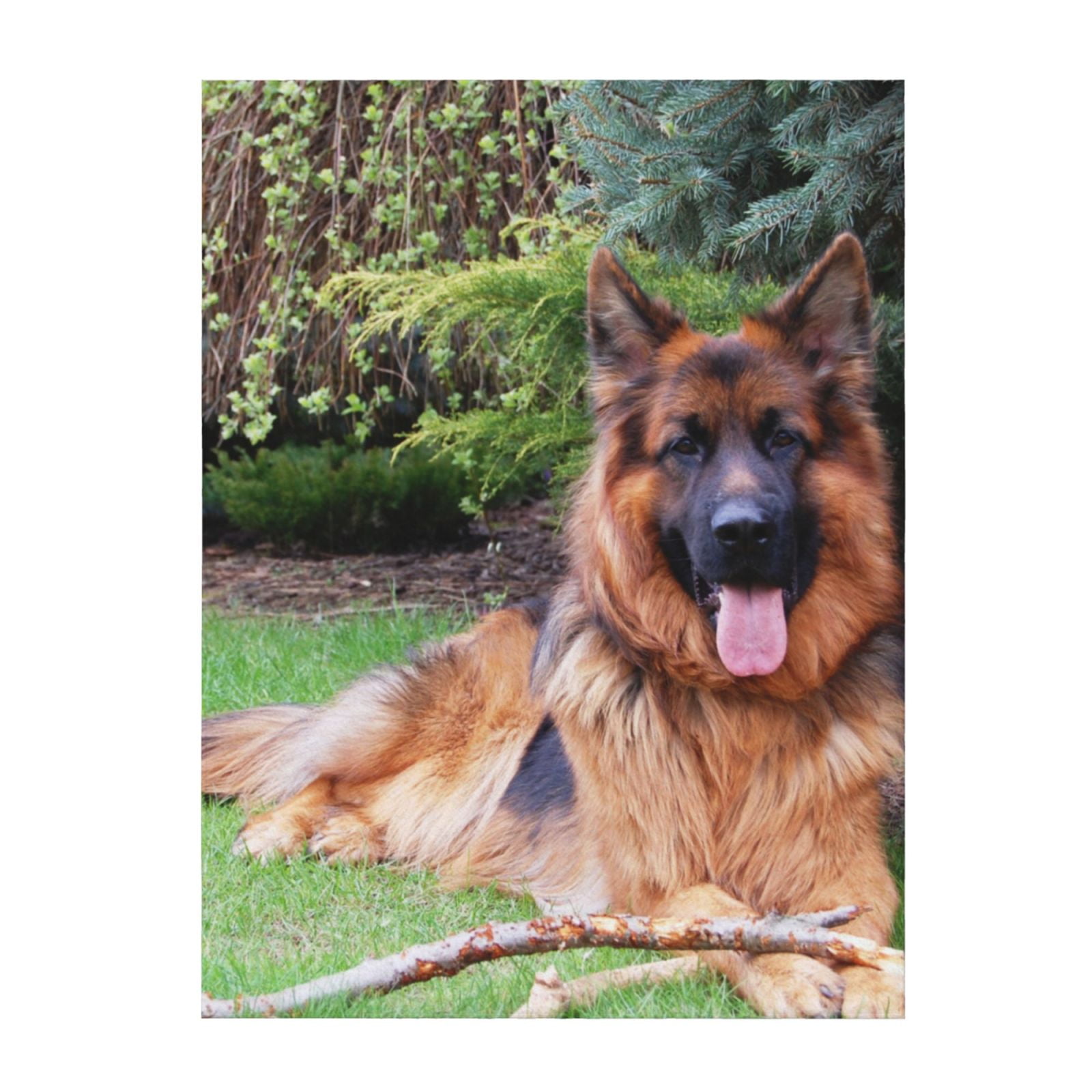 German Shepherd Warm Flannel Fleece Plush Soft Sofa Throw Blanket As ...