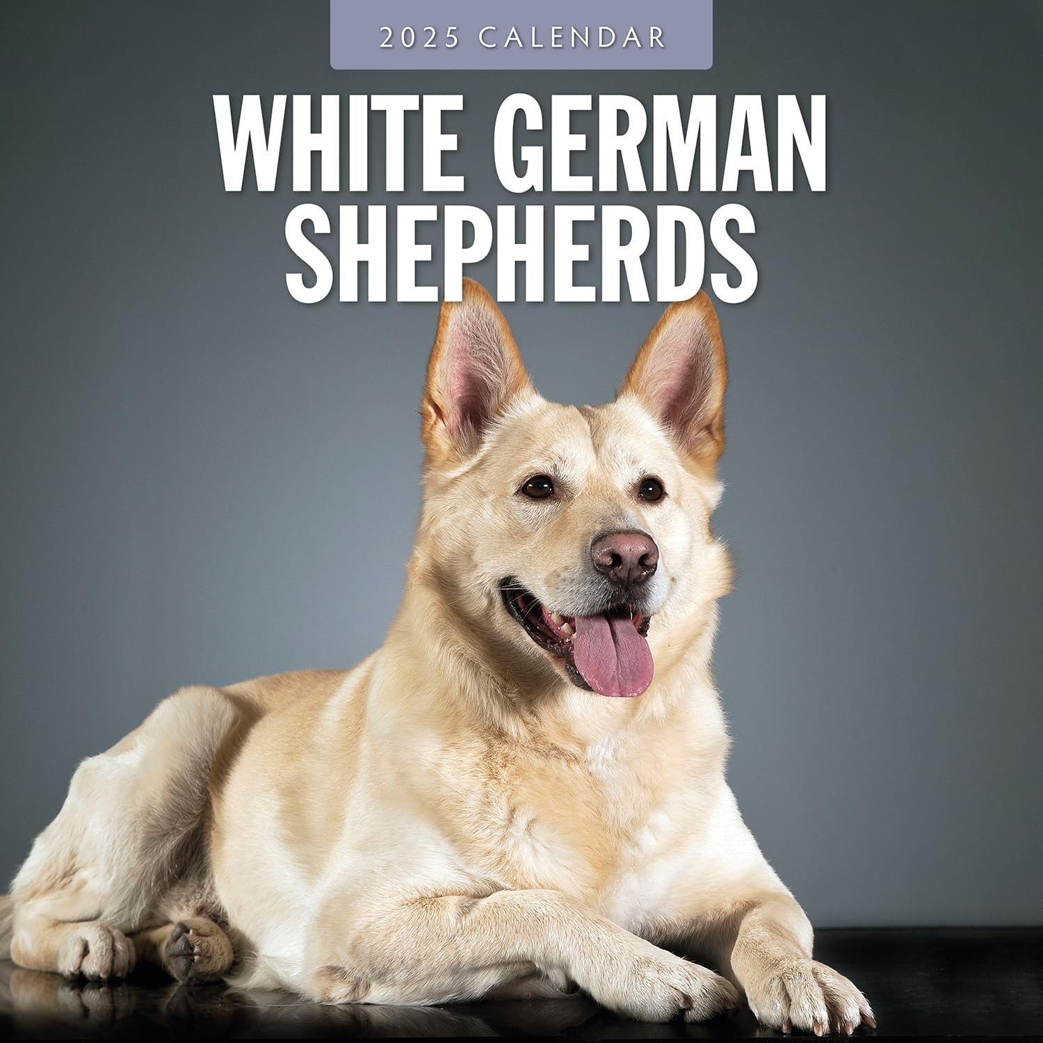 German Shepherd, White 2025 Square Wall Calendar - Walmart.com