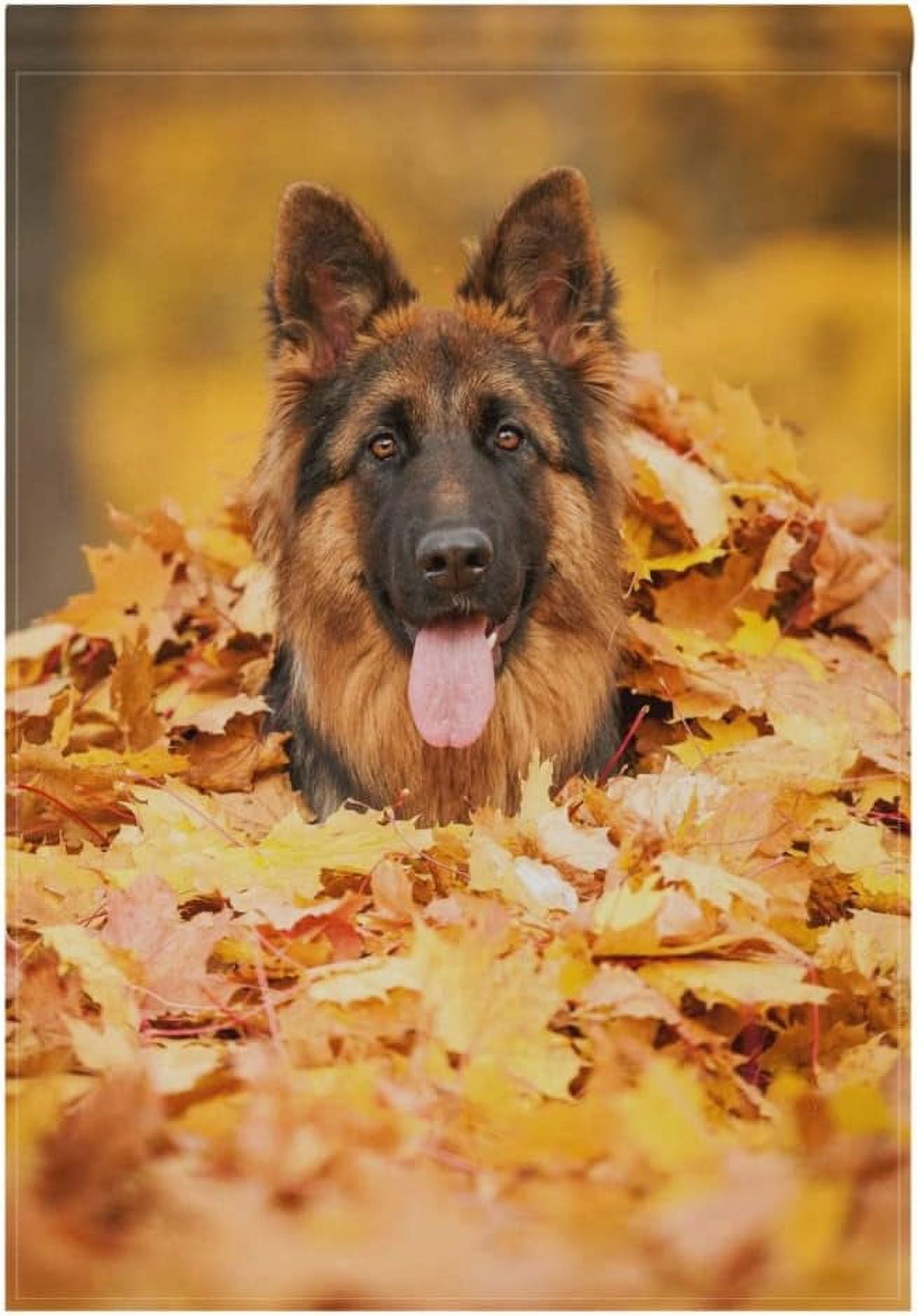 German Shepherd in Leaves Dog Garden Flag Double Sided, Yard Flags ...
