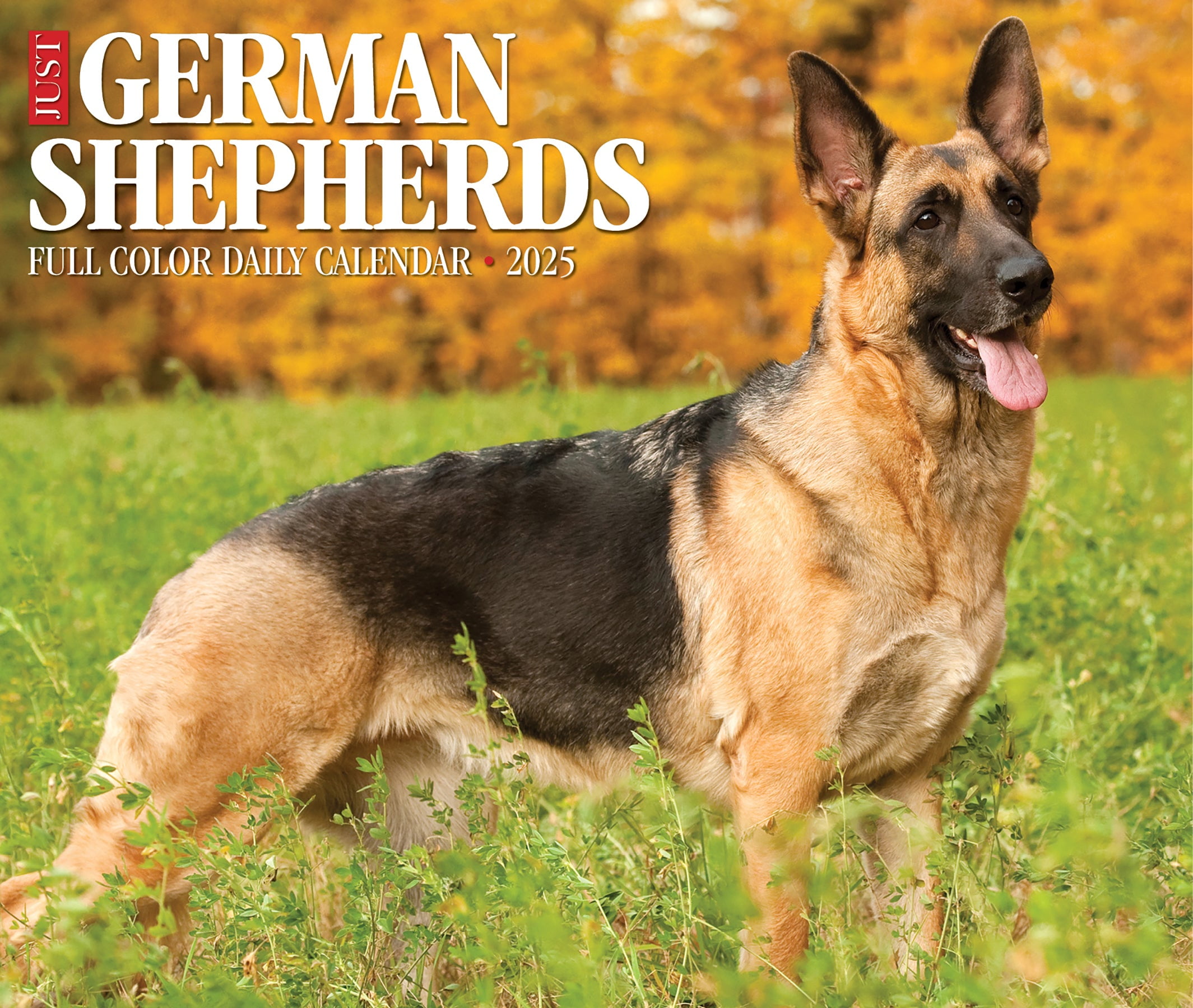 German Shepherds 2025 Box Calendar - Walmart.com