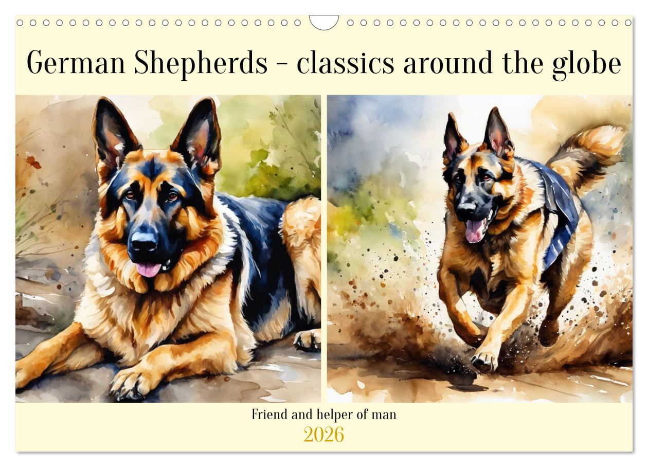 German Shepherds - classics around the globe (Wall Calendar 2026 DIN A3 ...