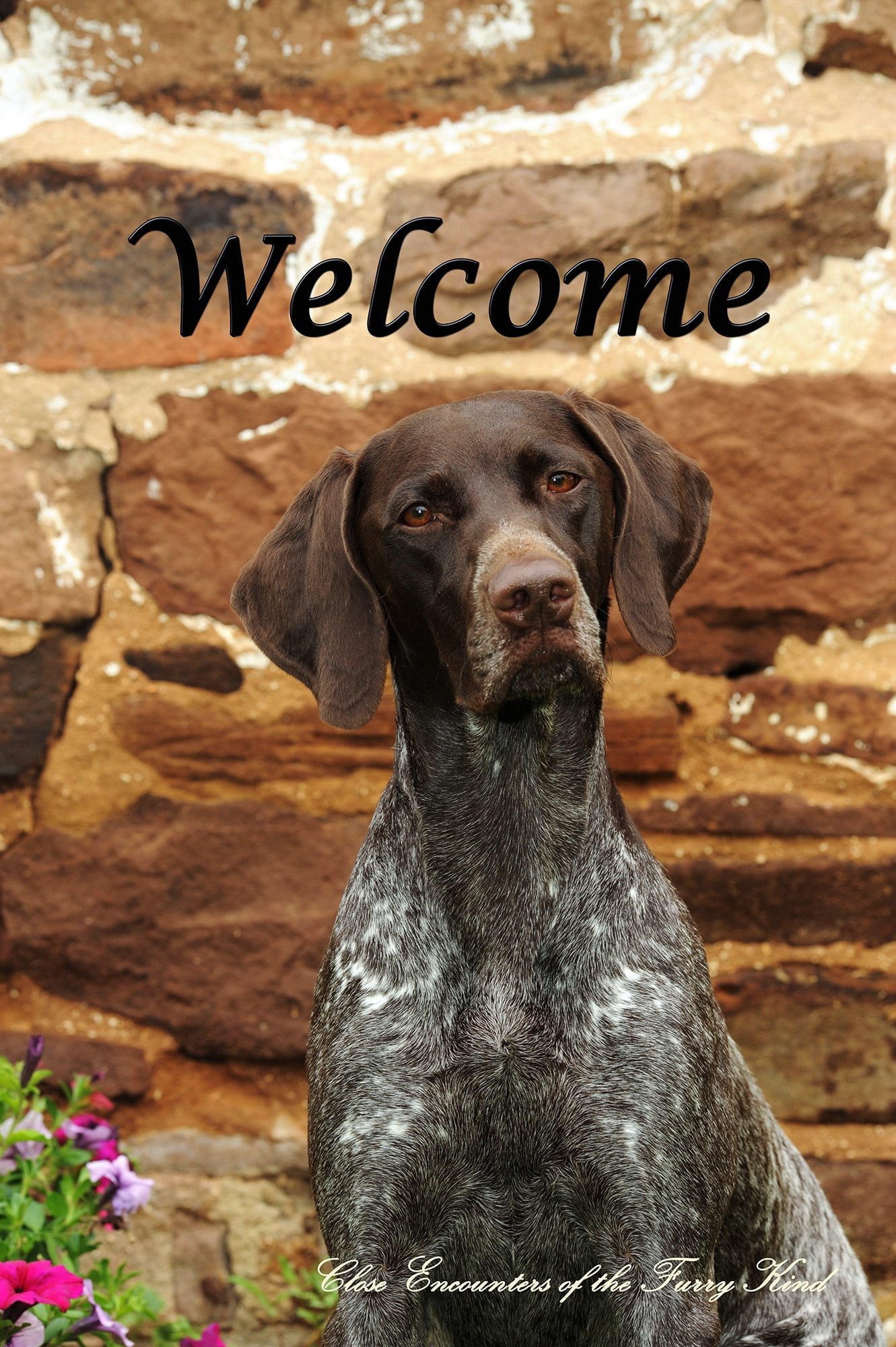 German Shorthair Pointer - Best of Breed CEFK Welcome Photo Garden Flag ...