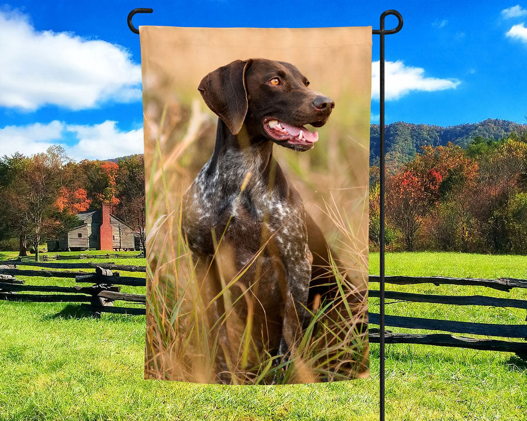 German Shorthair Pointer Flag - Walmart.com