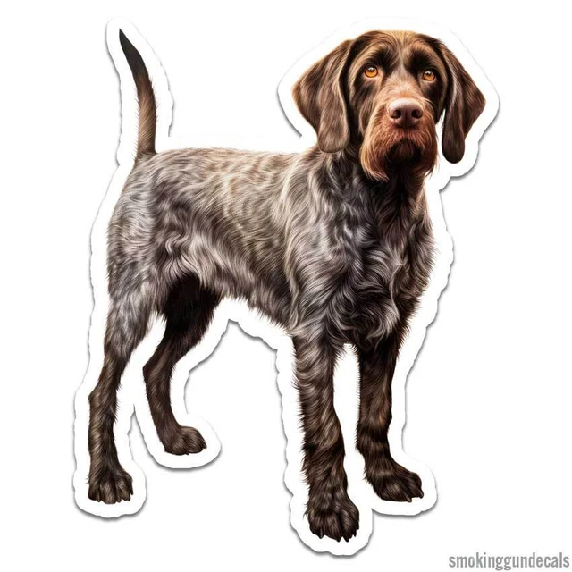 German Wirehaired Pointer Sticker Indoor Outdoor Phone Decal Water Bottle Stickers Car Decals ...