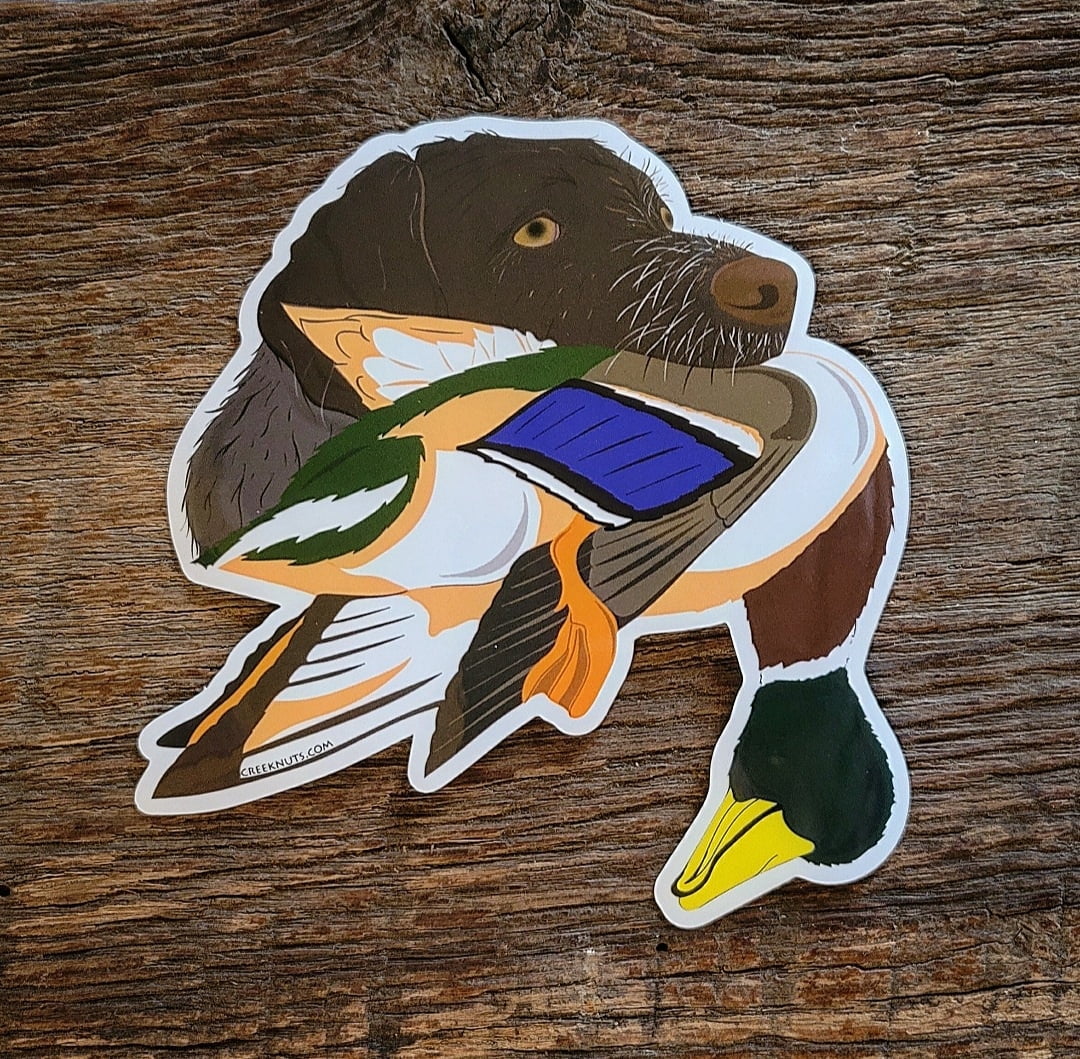 German Wirehaired Pointer with Mallard Duck Sticker Decal - Walmart.com