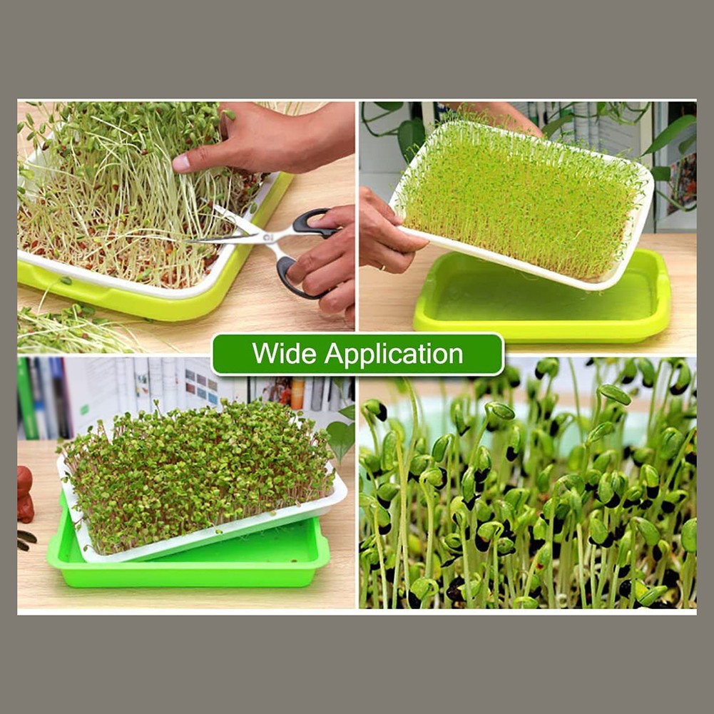 Germination Machine Germination Tray Multifunction Grain Sprouter ...