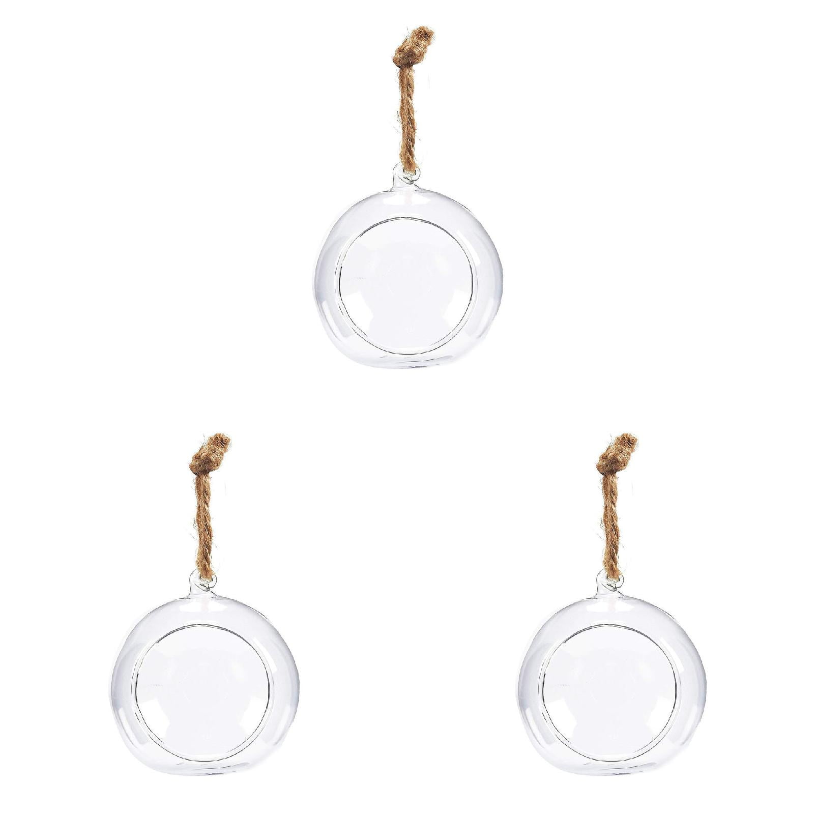 Germination Tray Celeriac Pellet Tray Holder for Packets Heavy Duty ... Germination Tray Celeriac Pellet Tray Holder for Packets Heavy Duty ...