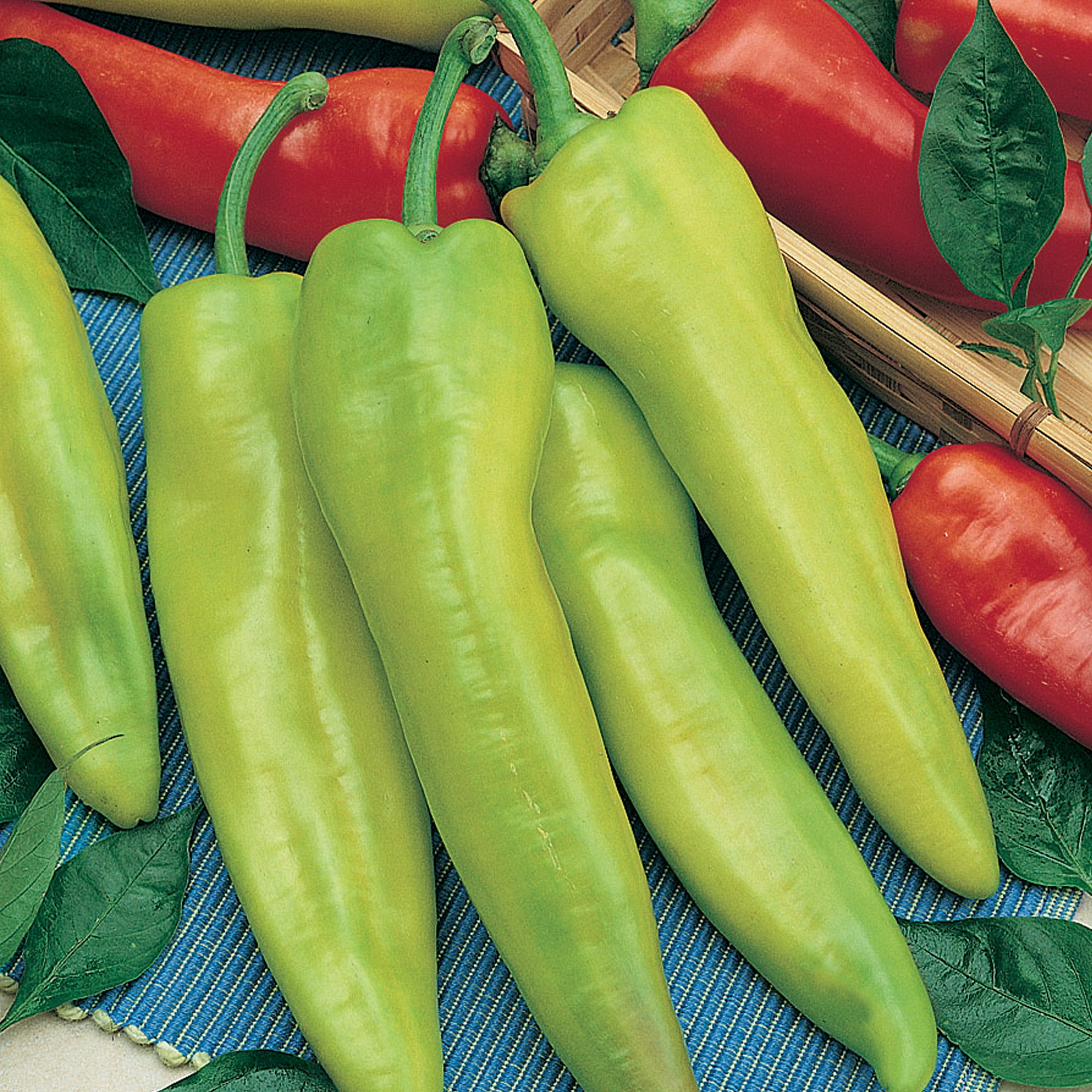 Geronimo F1 Hybrid Hot Pepper Seeds - 300 Mg Packet ~40 Seeds - Non-GMO ...