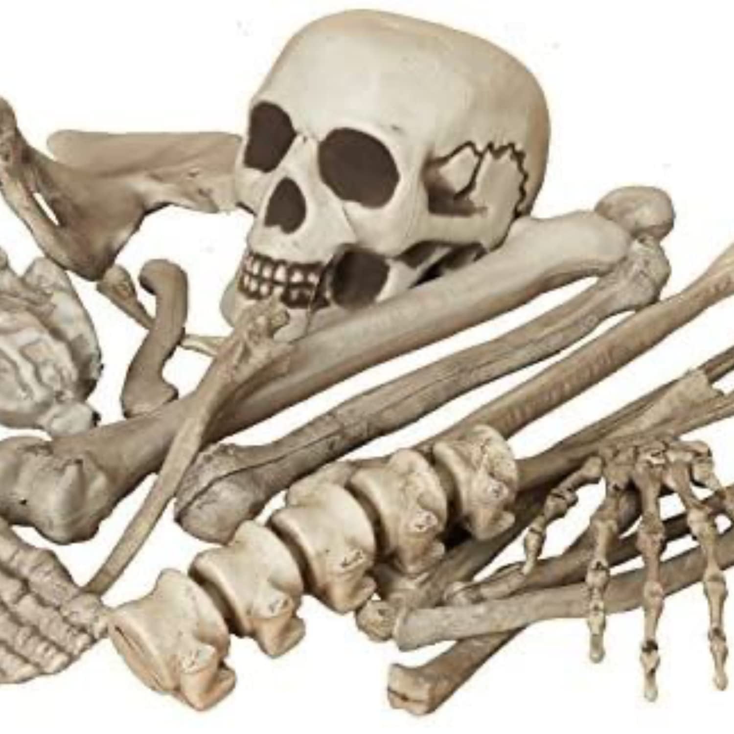 Free Shipping! The Gerson Companies 18 pc Bag of Bones Halloween ...