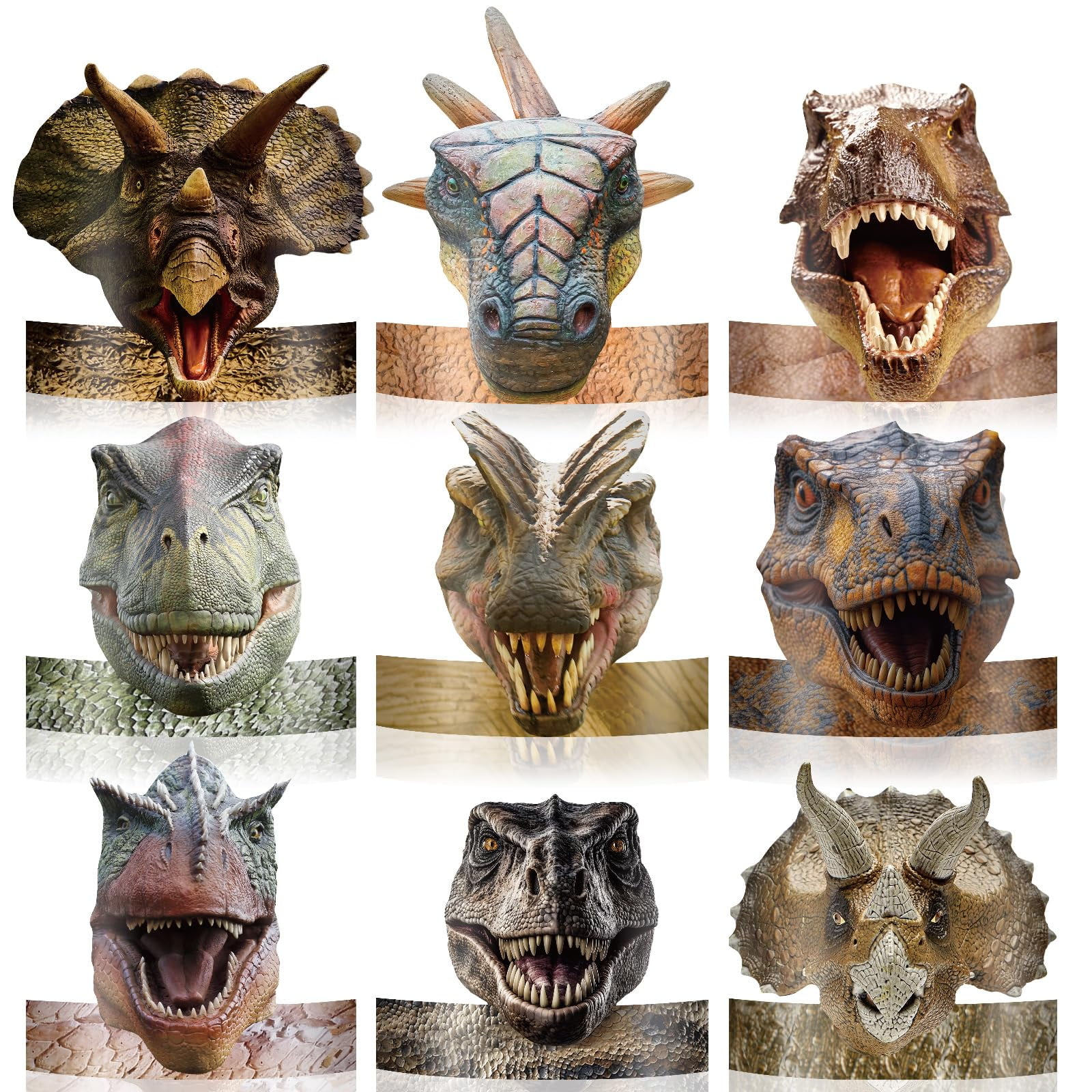 Gersoniel 24 Pcs Dinosaur Birthday Party Hats, Favors, Headbands, and ...