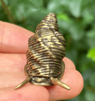 Get 1 Vtgbrasslover Vtg Vintage style brass copper conch Statues ...