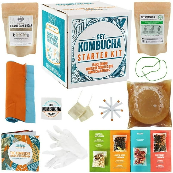 Kombucha Scobys