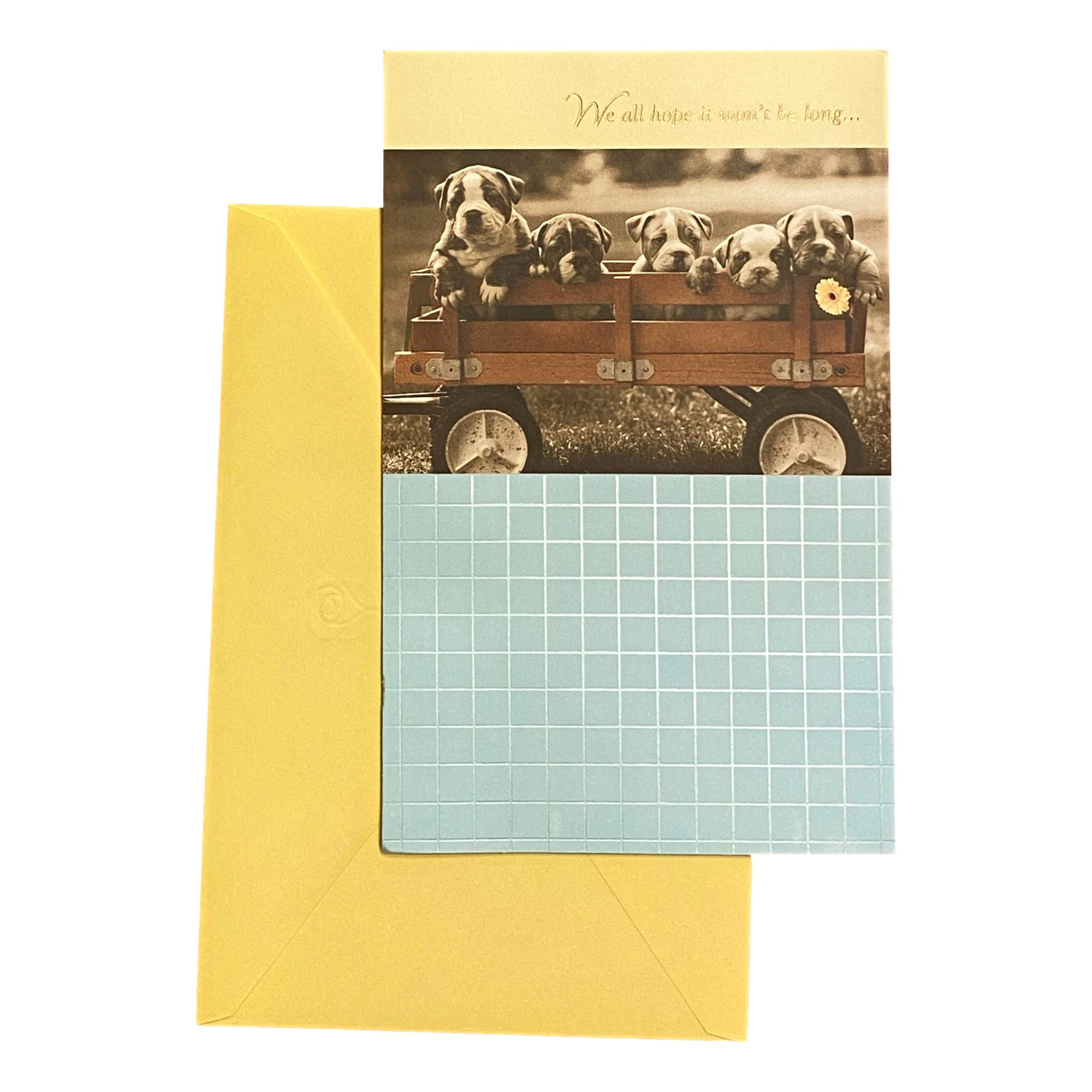 Get Well Greeting Card for Loved Ones, Family and Friends - W all hope ...
