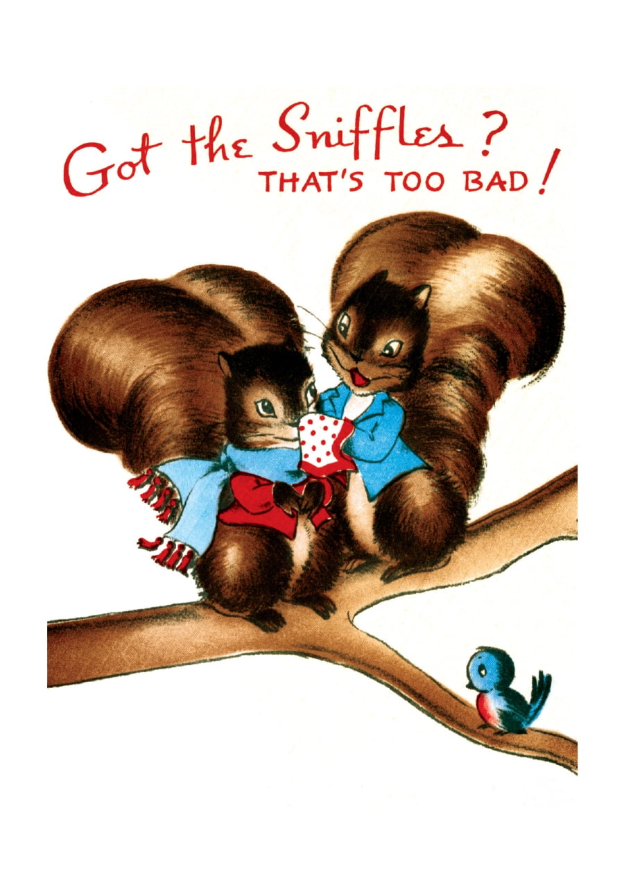 Get Well: Squirrel Family - Get Well Greeting Card (Other) - Walmart.com