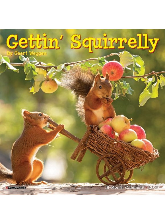 Wall Calendars in Calendars - Walmart.com